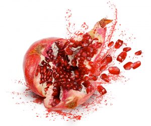 PRIM' FRUIT - Primeur à RUNGIS - Livraison fruits et légumes