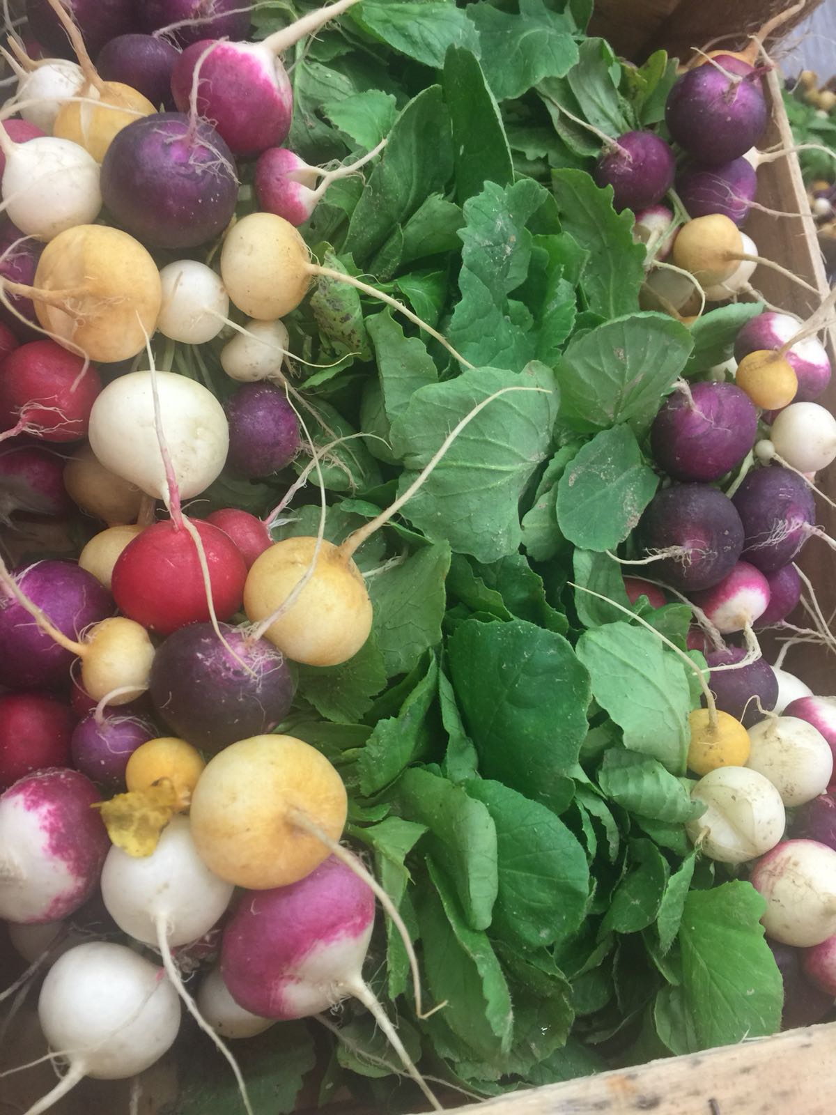 IMG-20180409-WA0009 - PRIM' FRUIT