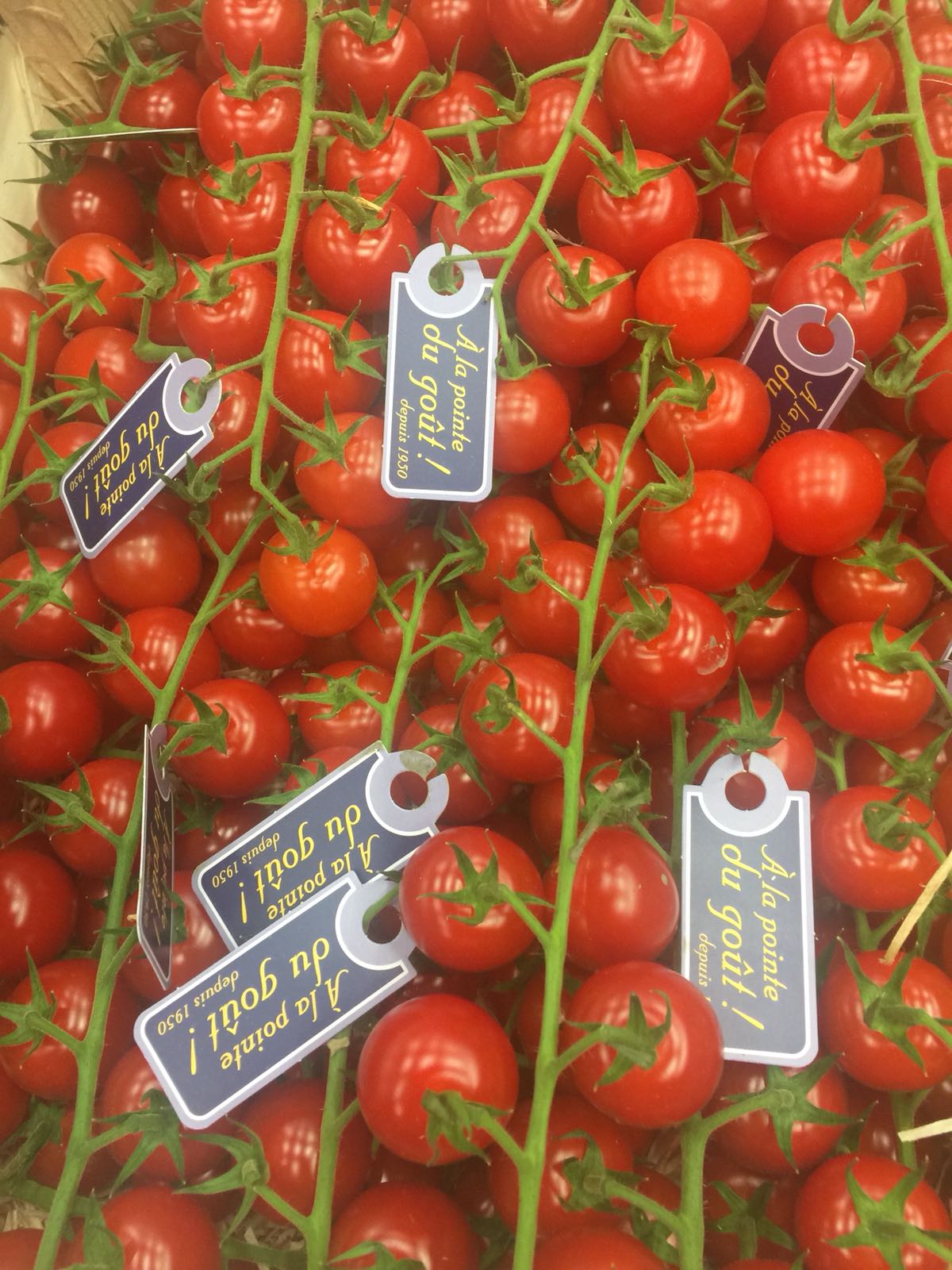 IMG-20180409-WA0017 - PRIM' FRUIT